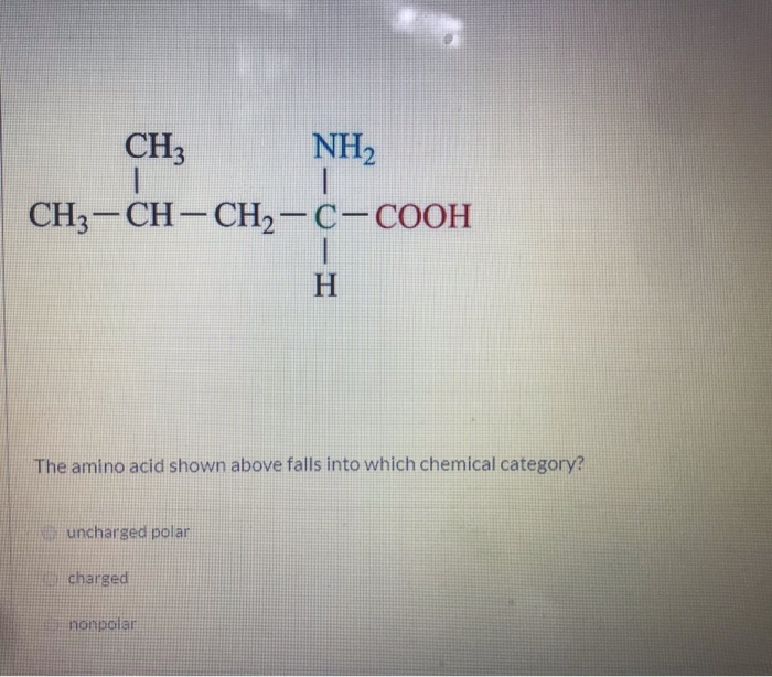Solved CH3 NH CH3-CH - CH2 - C-COOH The amino acid shown | Chegg.com