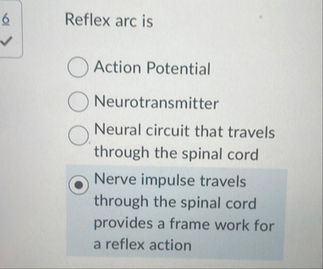 Solved Reflex arc isAction PotentialNeurotransmitterNeural | Chegg.com
