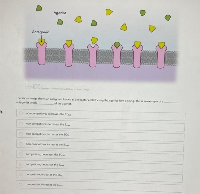 Solved The above image shows an antagonist bound to a | Chegg.com