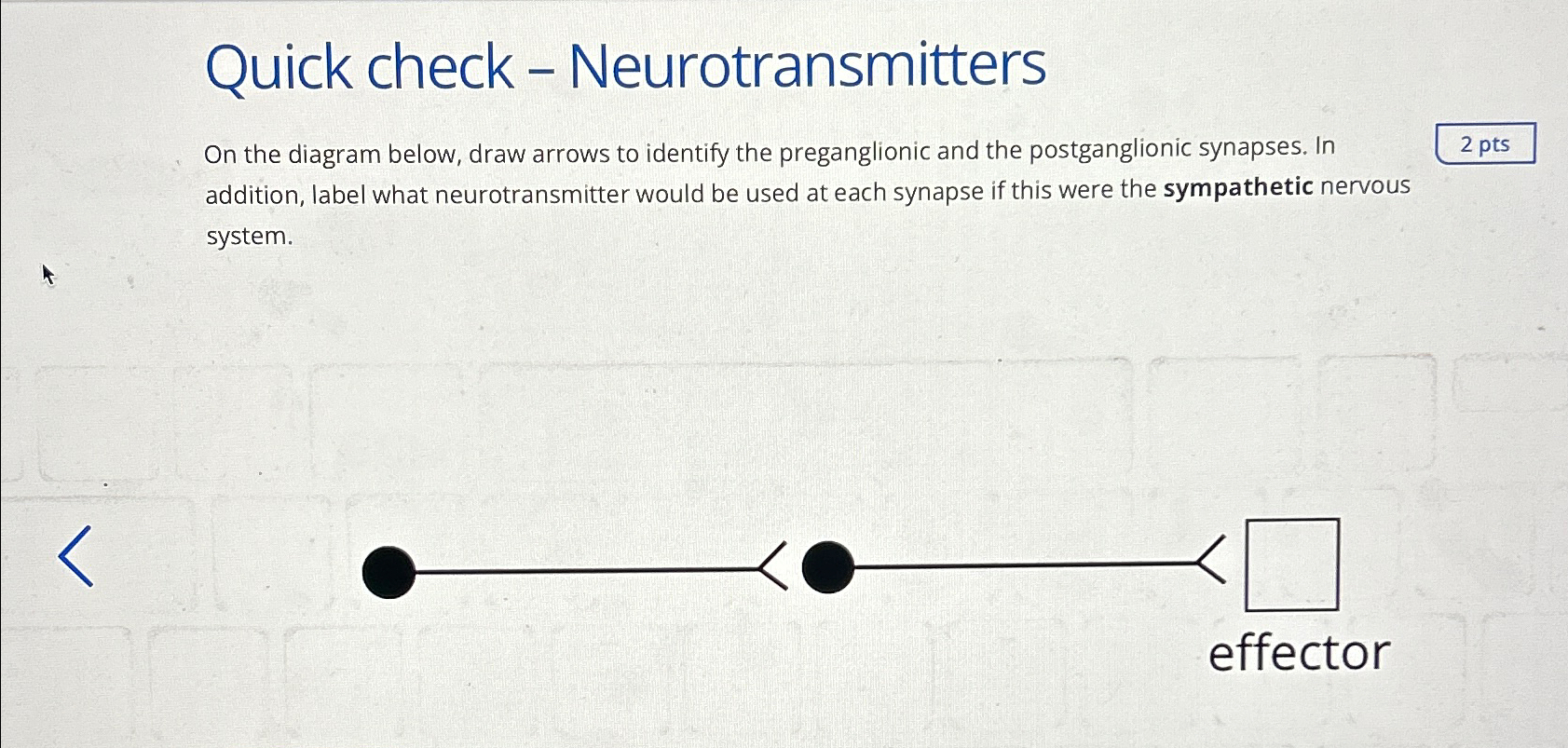 Solved Quick check - ﻿NeurotransmittersOn the diagram below, | Chegg.com