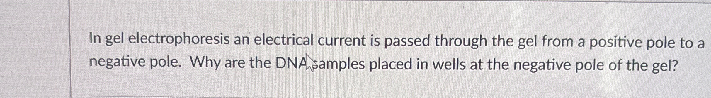 Solved In gel electrophoresis an electrical current is | Chegg.com