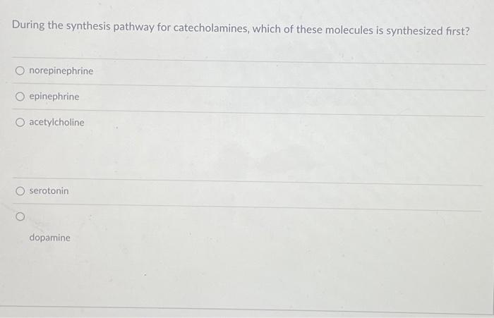 Solved During the synthesis pathway for catecholamines, | Chegg.com