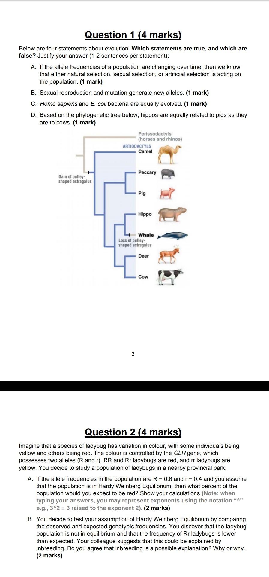 Solved Question 1 (4 marks) Below are four statements about | Chegg.com