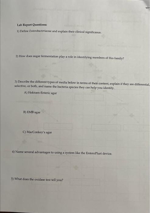Solved Lab Report Questions: 1) Define Enterobucteriaceac | Chegg.com