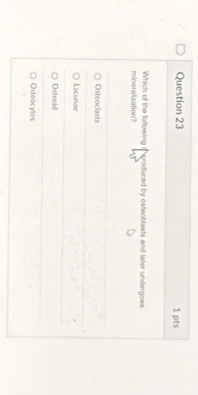 Solved Question 231 ﻿ptsWhich of the following / ﻿eroduced | Chegg.com