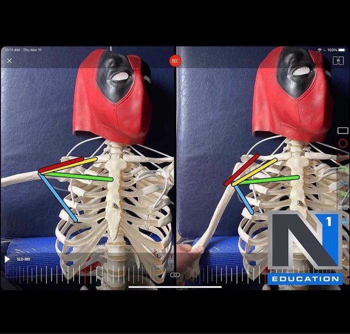 Solved Coul you elaborate what these pictures are trying to | Chegg.com