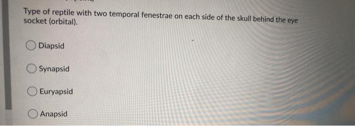 Solved Type of reptile with two temporal fenestrae on each | Chegg.com
