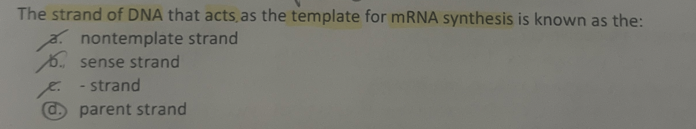Solved The strand of DNA that acts as the template for mRNA | Chegg.com