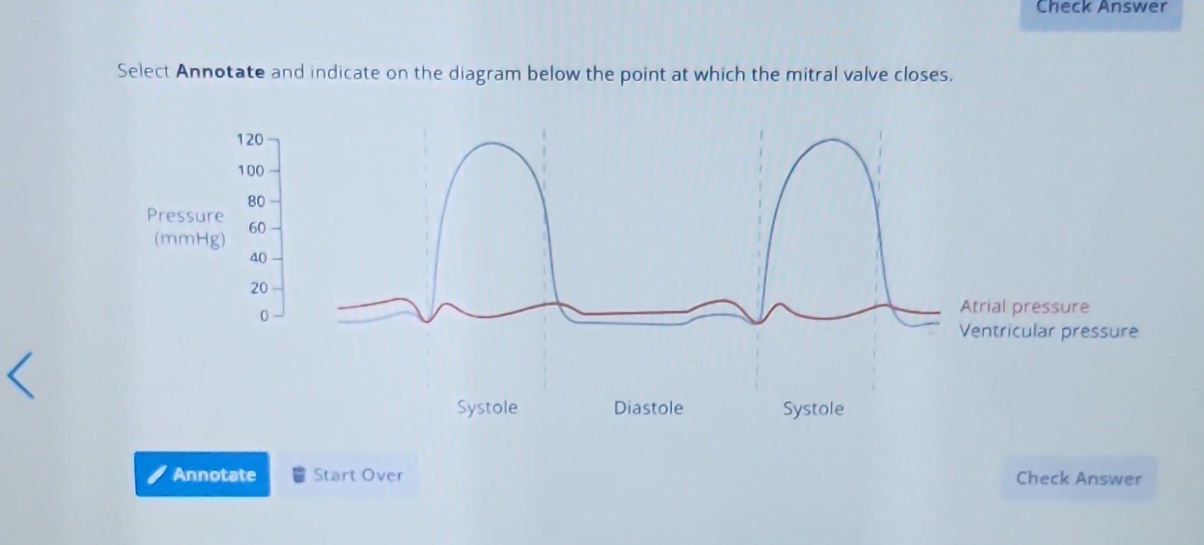 Solved Select Annotate and indicate on the diagram below the | Chegg.com