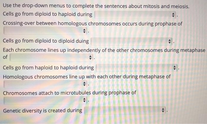 Solved Use the drop-down menus to complete the sentences | Chegg.com