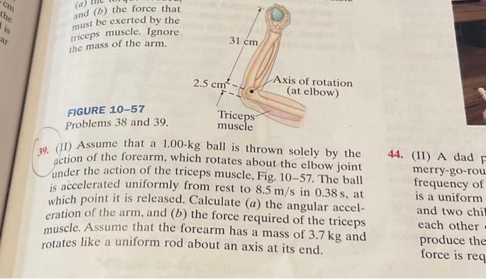 Solved and (b) the force that must be exerted by the triceps | Chegg.com