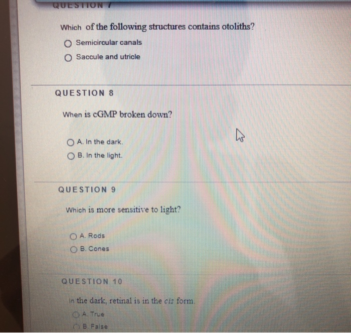 Solved QUESTION / Which of the following structures contains | Chegg.com