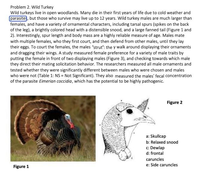 Solved Problem 2. Wild Turkey Wild turkeys live in open | Chegg.com