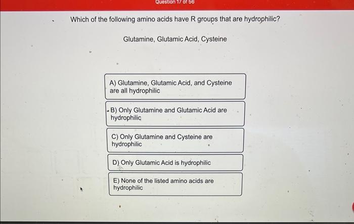 Solved Which of the following amino acids have R groups that | Chegg.com