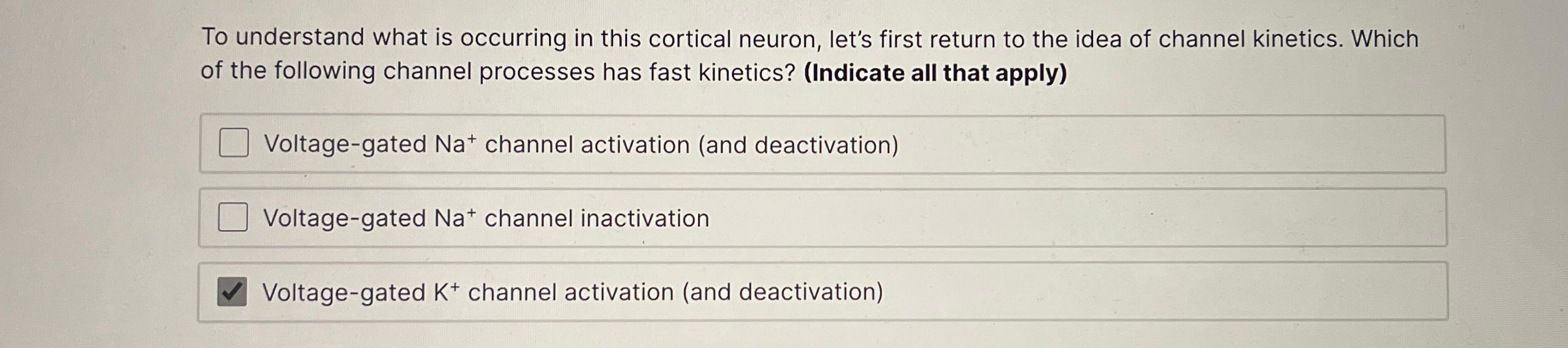 Solved To understand what is occurring in this cortical | Chegg.com