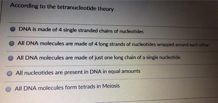 Solved According to the tetranucleotide theory DNA is made | Chegg.com