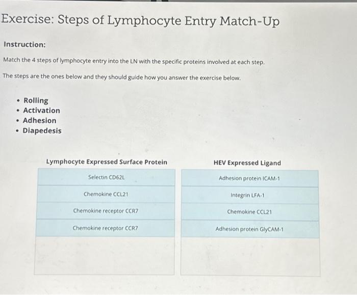 Solved Exercise: Steps of Lymphocyte Entry Match-Up | Chegg.com