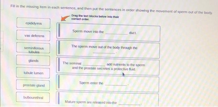 Solved Fill in the missing item in each sentence, and then | Chegg.com