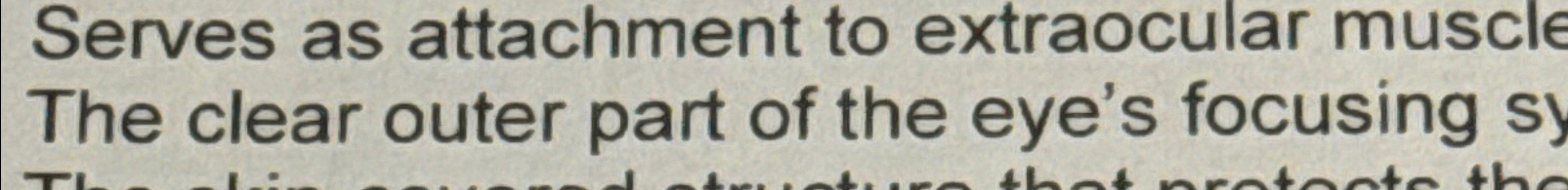 Solved Serves as attachment to extraocular muscle The clear | Chegg.com