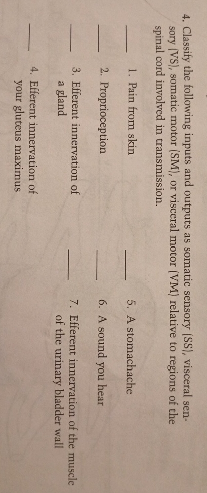 Solved Classify the following inputs and outputs as somatic | Chegg.com