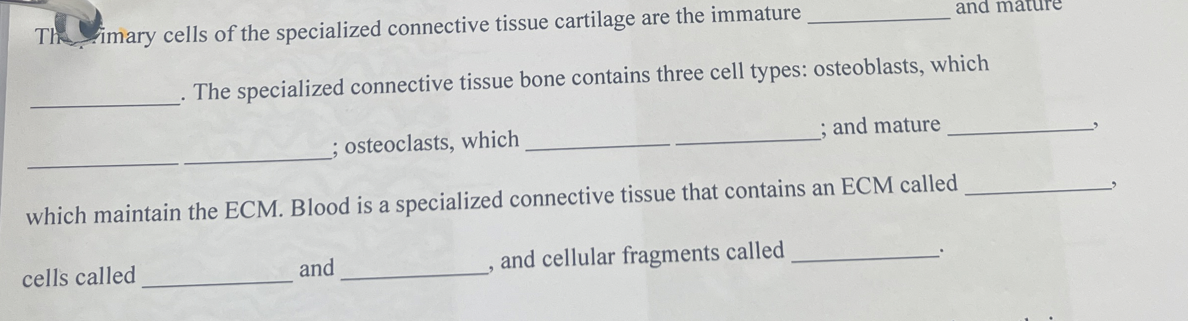 Solved Th imary cells of the specialized connective tissue | Chegg.com