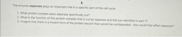 Solved The enzyme separase plays an important role in a | Chegg.com