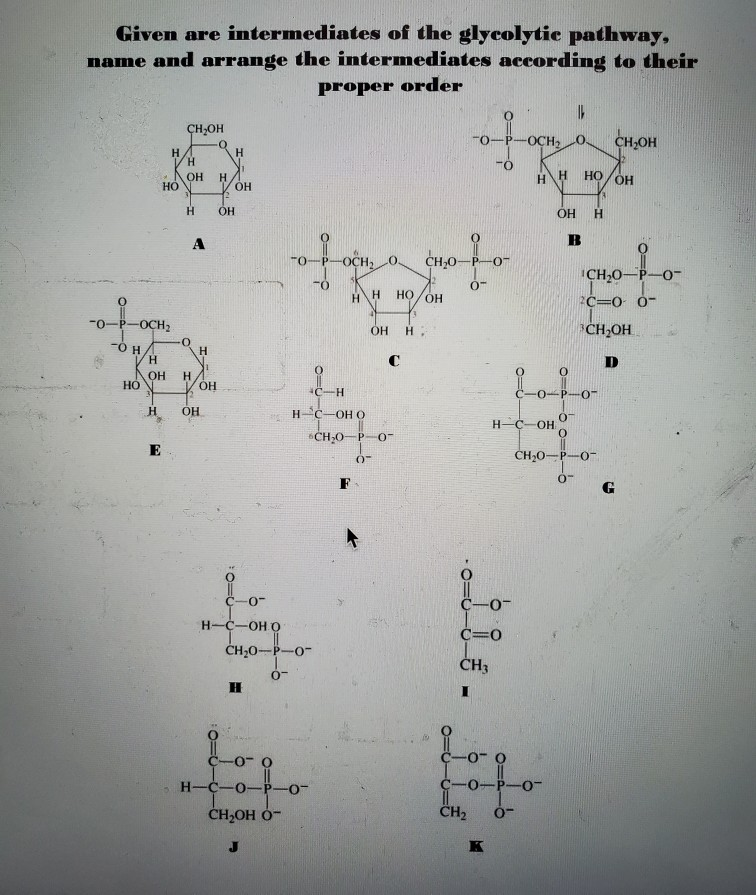 Solved Table 1. Intermediates, reaction types and enzymes of | Chegg.com
