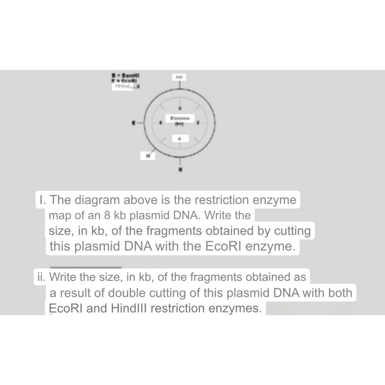 Solved I. The diagram above is the restriction enzyme map of | Chegg.com