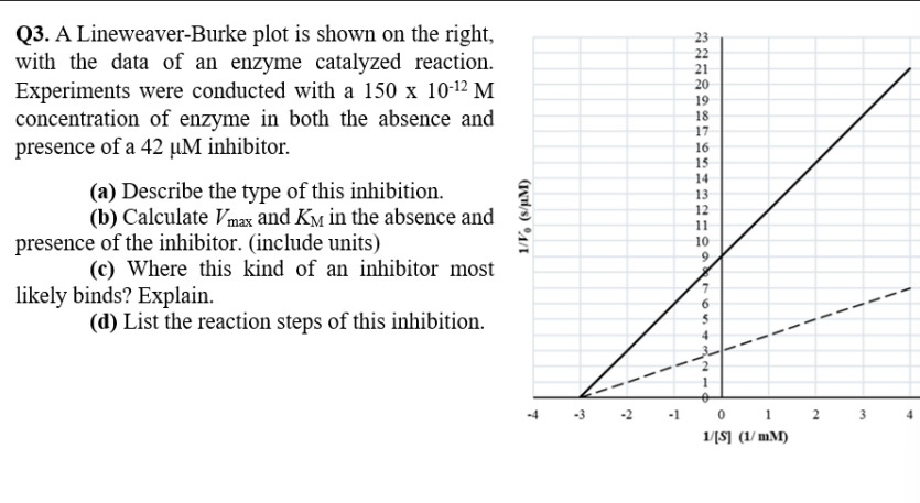 Solved Q3. ﻿A Lineweaver-Burke plot is shown on the | Chegg.com