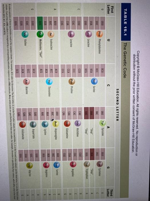 Solved June avalldule to you. Part 1: Transcribe a small | Chegg.com