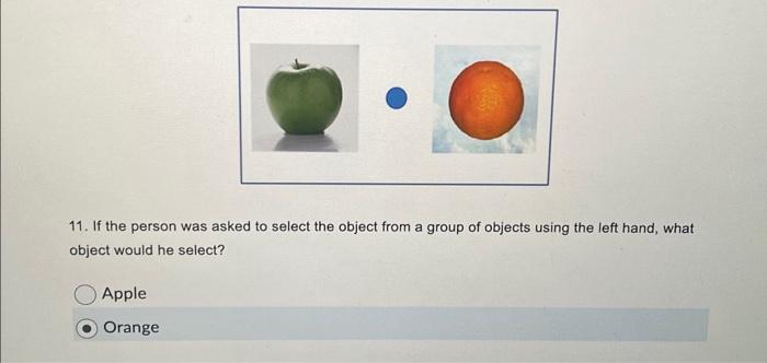 Solved 11. If the person was asked to select the object from | Chegg.com