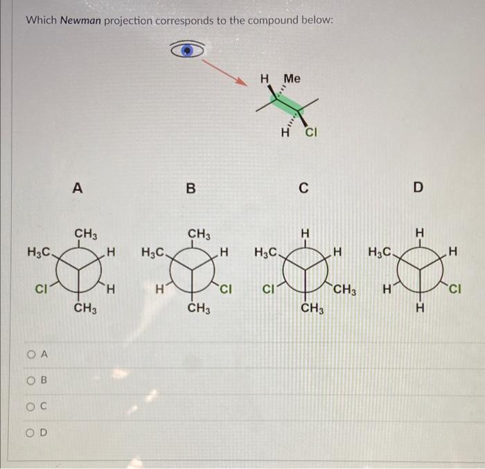 Solved Which Newman projection corresponds to the compound | Chegg.com