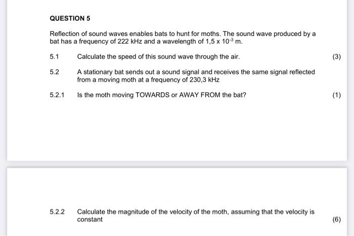 Solved QUESTION 5 Reflection of sound waves enables bats to | Chegg.com