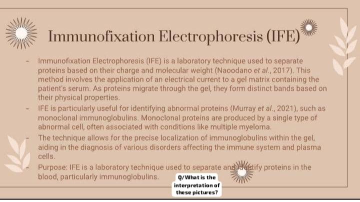 Solved Immunofixation Electrophoresis (IFE)Immunofixation | Chegg.com
