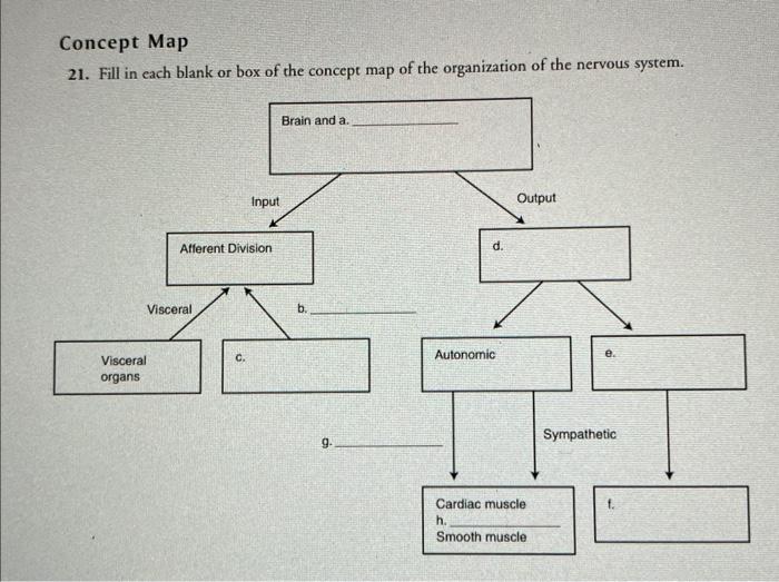 Solved Concept Map 21. Fill in each blank or box of the | Chegg.com