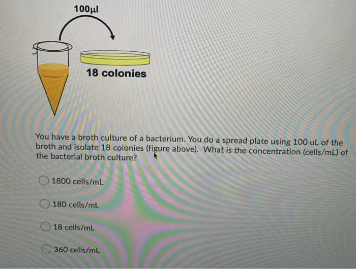Solved 100ul 18 colonies You have a broth culture of a | Chegg.com