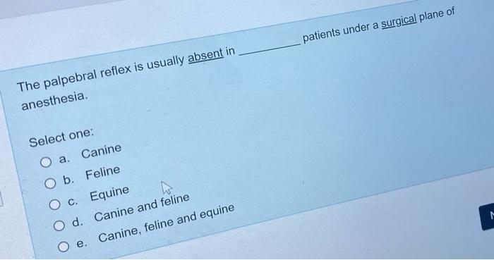 Solved patients under a surgical plane of The palpebral | Chegg.com