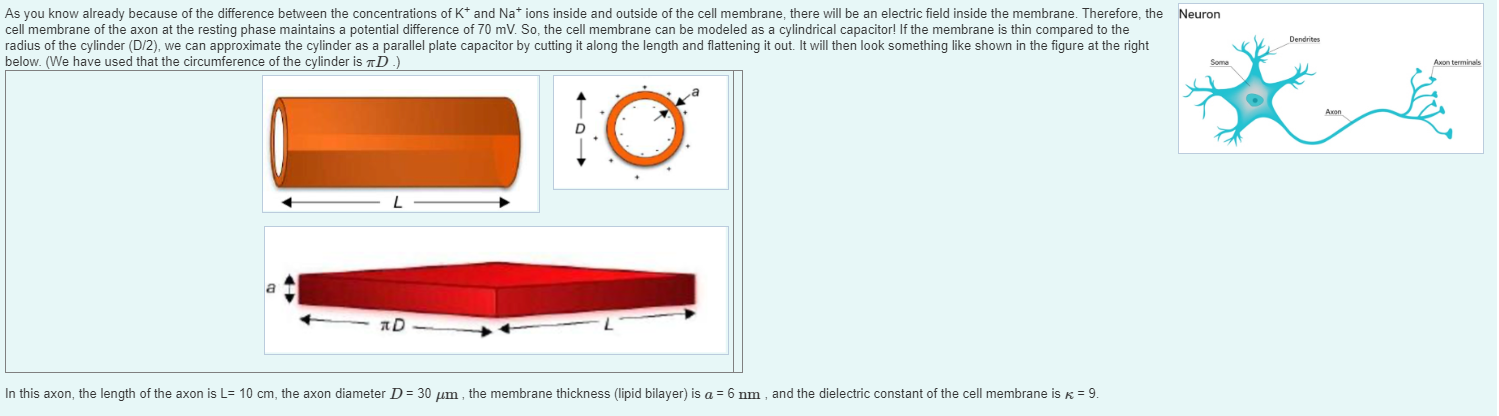 Solved Part A - ﻿Calculate the capacitance of the axon and | Chegg.com