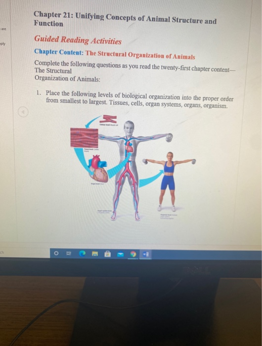 Solved Chapter 21: Unifying Concepts of Animal Structure and | Chegg.com