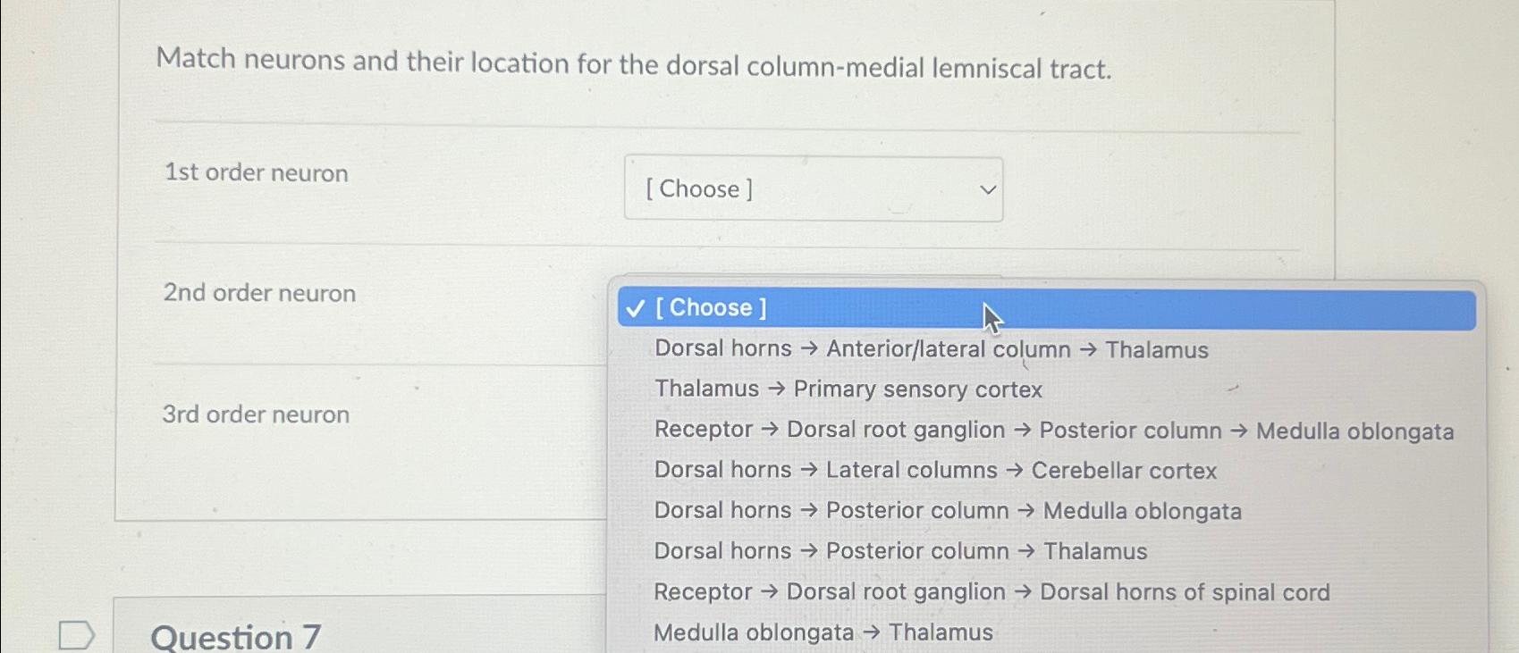 Solved Match neurons and their location for the dorsal | Chegg.com