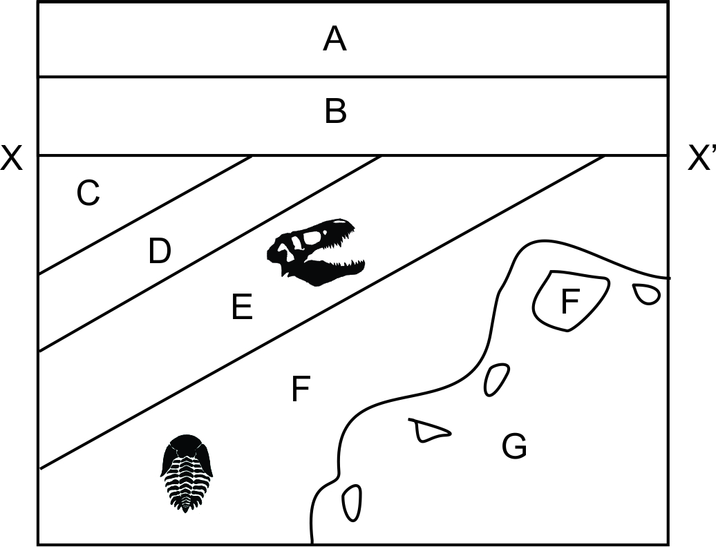 Solved by an EXPERT Based on the schematic stratigraphic cross-section | Chegg.com