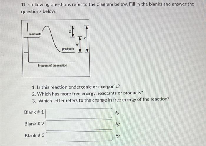 Solved The following questions refer to the diagram below. | Chegg.com