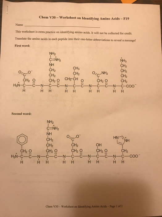 Solved Chem V30 - Worksheet on Identifying Amino Acids - F19 | Chegg.com