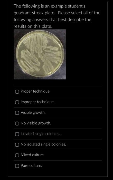 Solved Question 8 2 pts Why do we heat fix a smear for | Chegg.com
