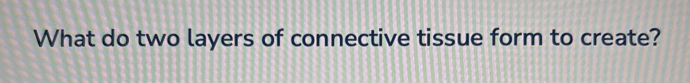 Solved What do two layers of connective tissue form to | Chegg.com