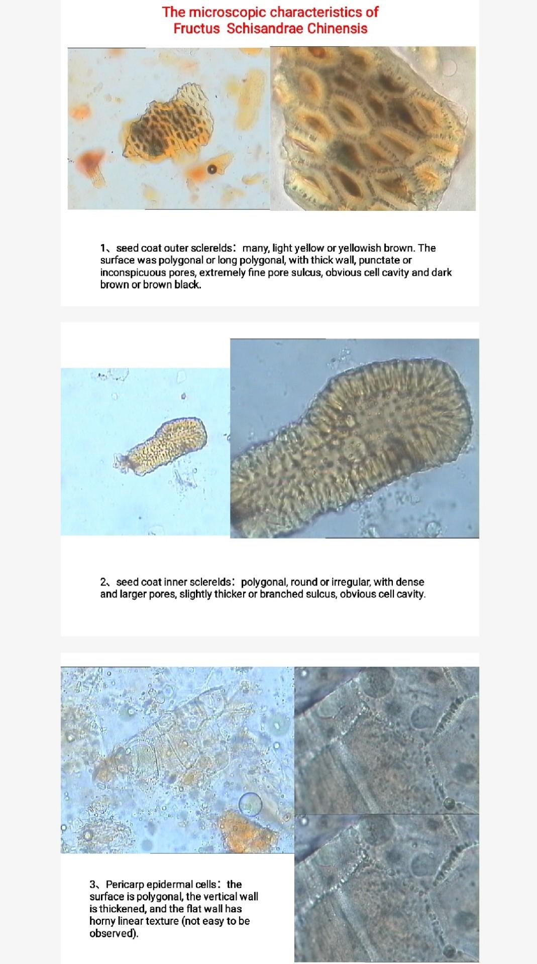 Old MathJax webview | Chegg.com