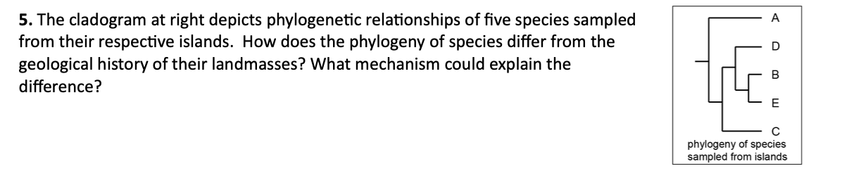 Solved the cladogram at right depicts phylogenetic | Chegg.com