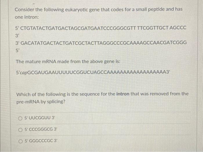 Consider the following eukaryotic gene that codes for | Chegg.com