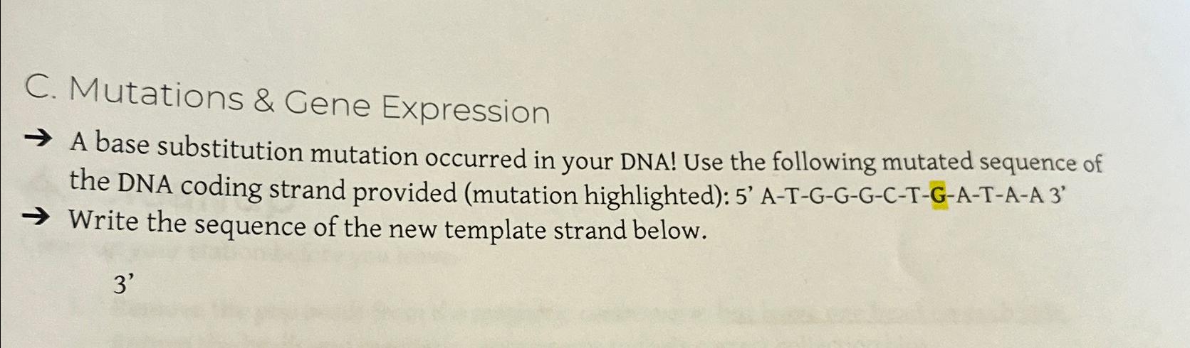 Solved C. ﻿Mutations & Gene Expressio→ ﻿A base substitution | Chegg.com
