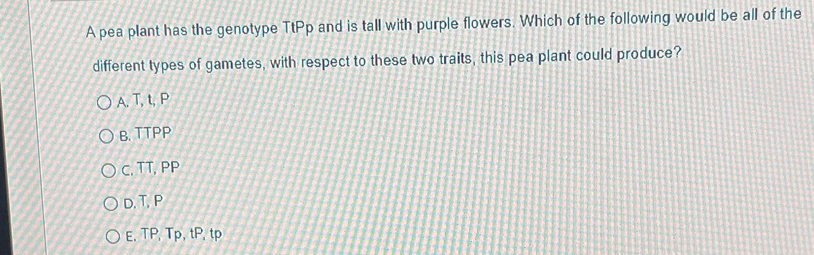 Solved A pea plant has the genotype TtPp and is tall with | Chegg.com